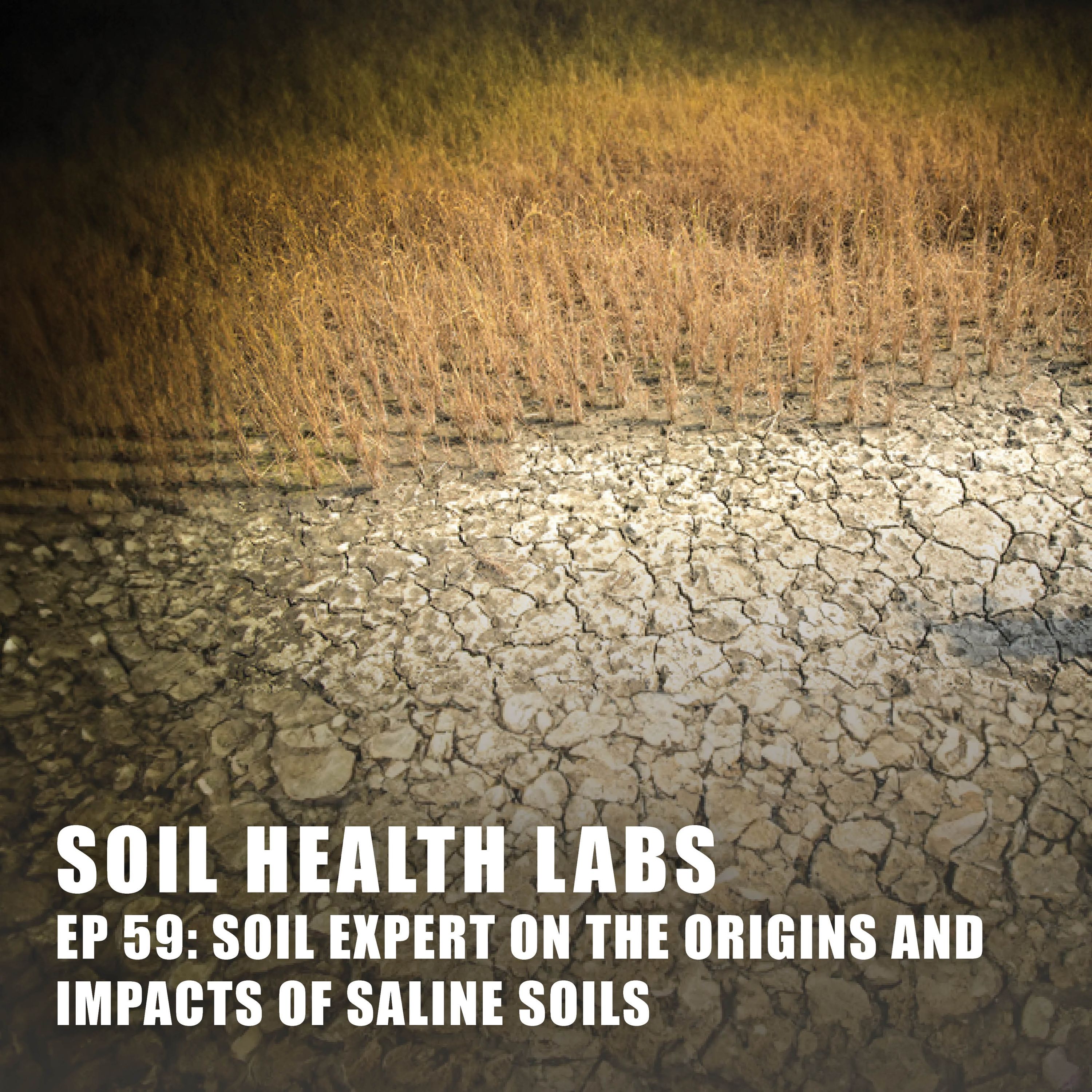59 Soil Expert on the Origins and Impacts of Saline Soils – Soil Health ...