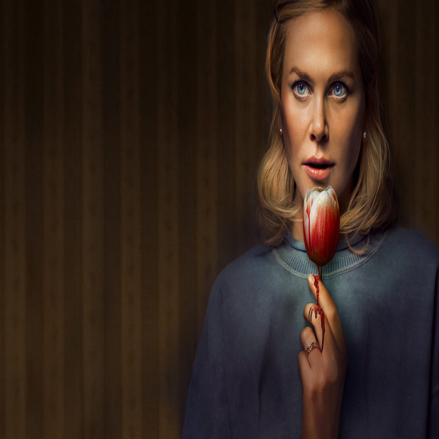 Regarder Holland 2025 : Le film en streaming complet