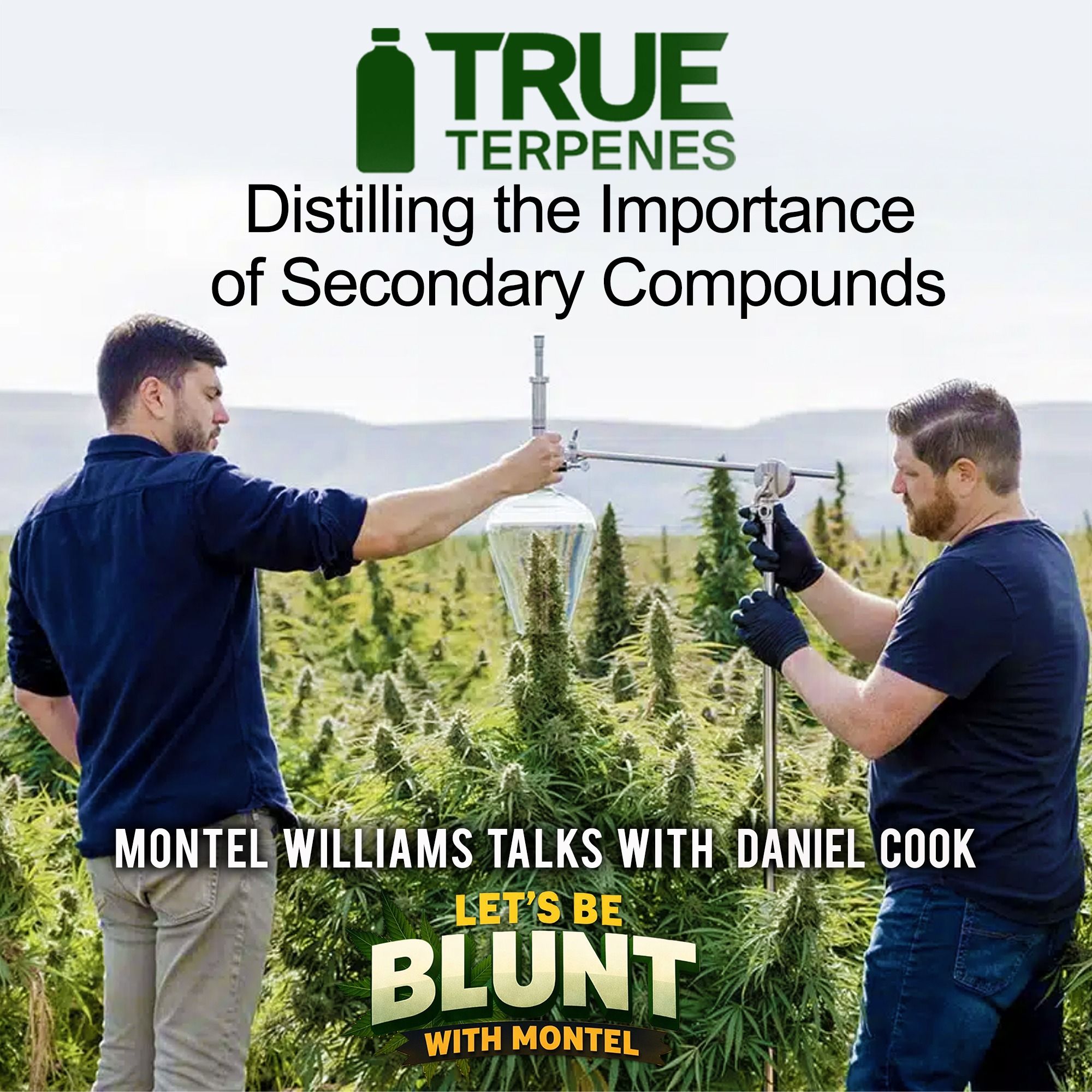 Cannabis Has A Consistency Problem - Here’s The Fix | Daniel Cook - Let ...