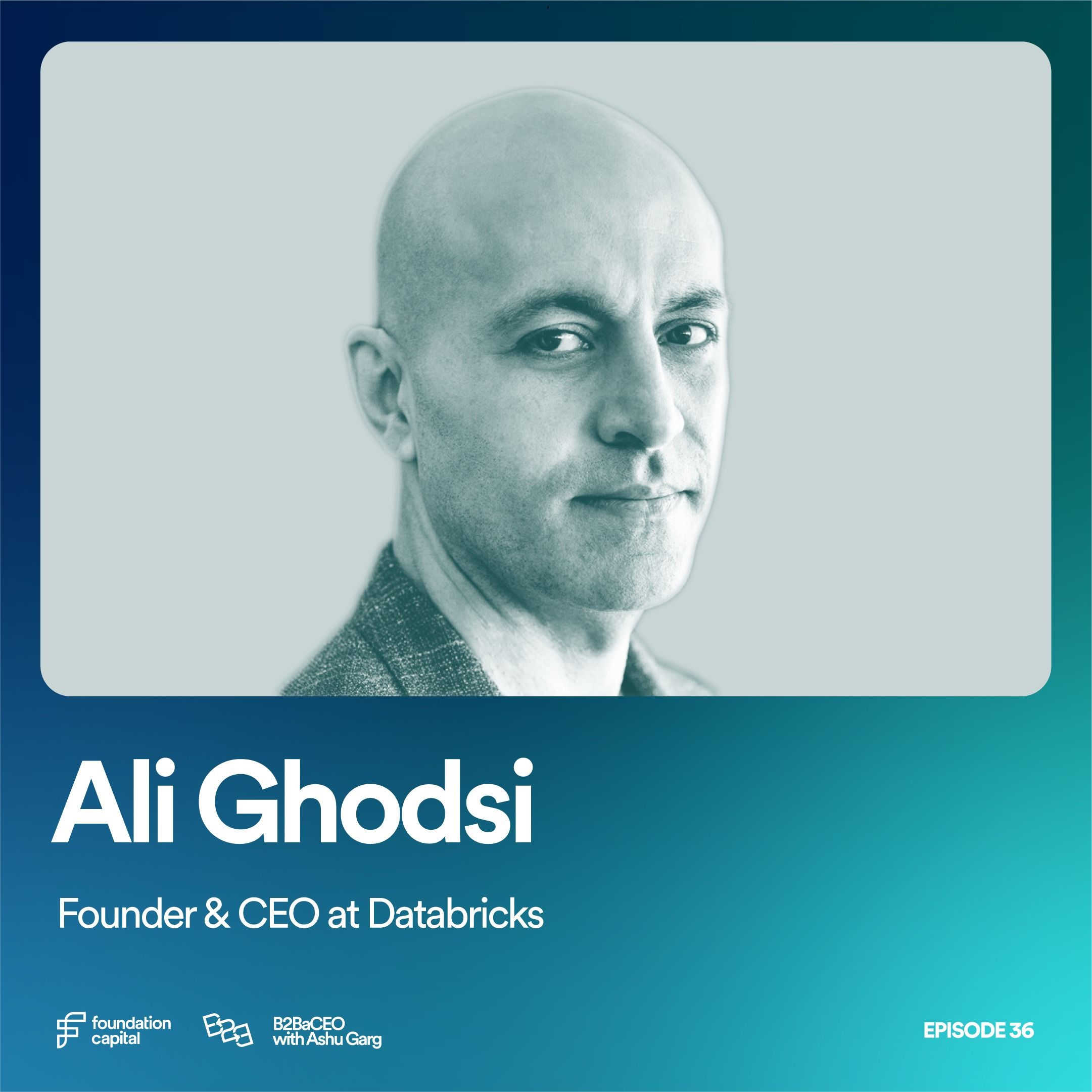 How to Build a Decacorn (Ali Ghodsi, Co-Founder & CEO of DataBricks) - B2BaCEO (with Ashu Garg ...