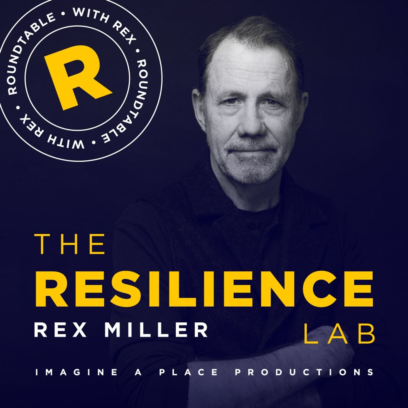 Roundtable: Emotional Intelligence – The Resilience Lab – Podcast – Podtail