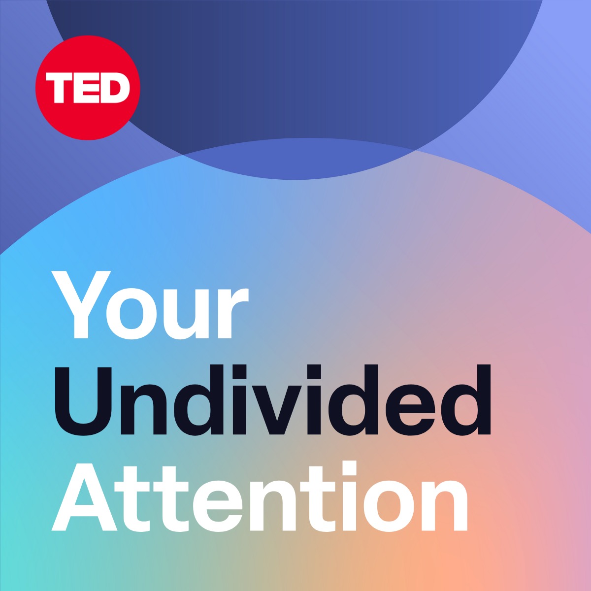 Your Undivided Attention