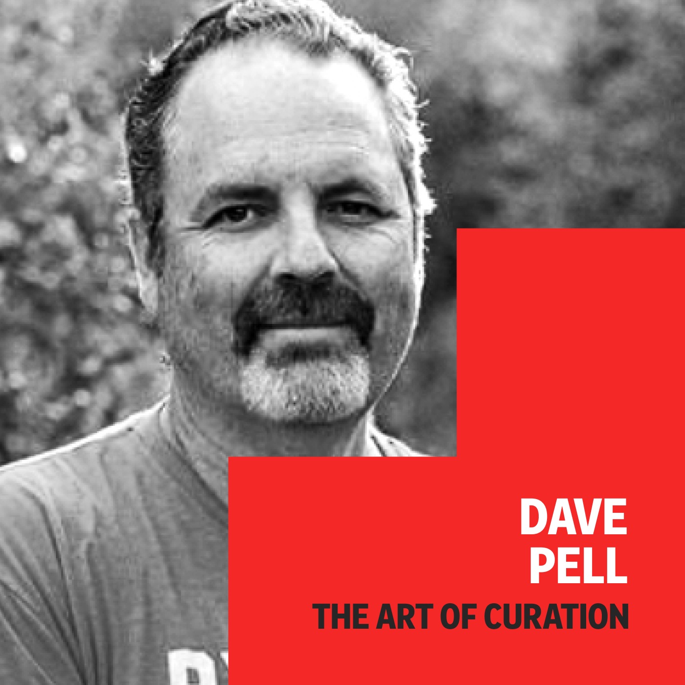 The Art of Curation