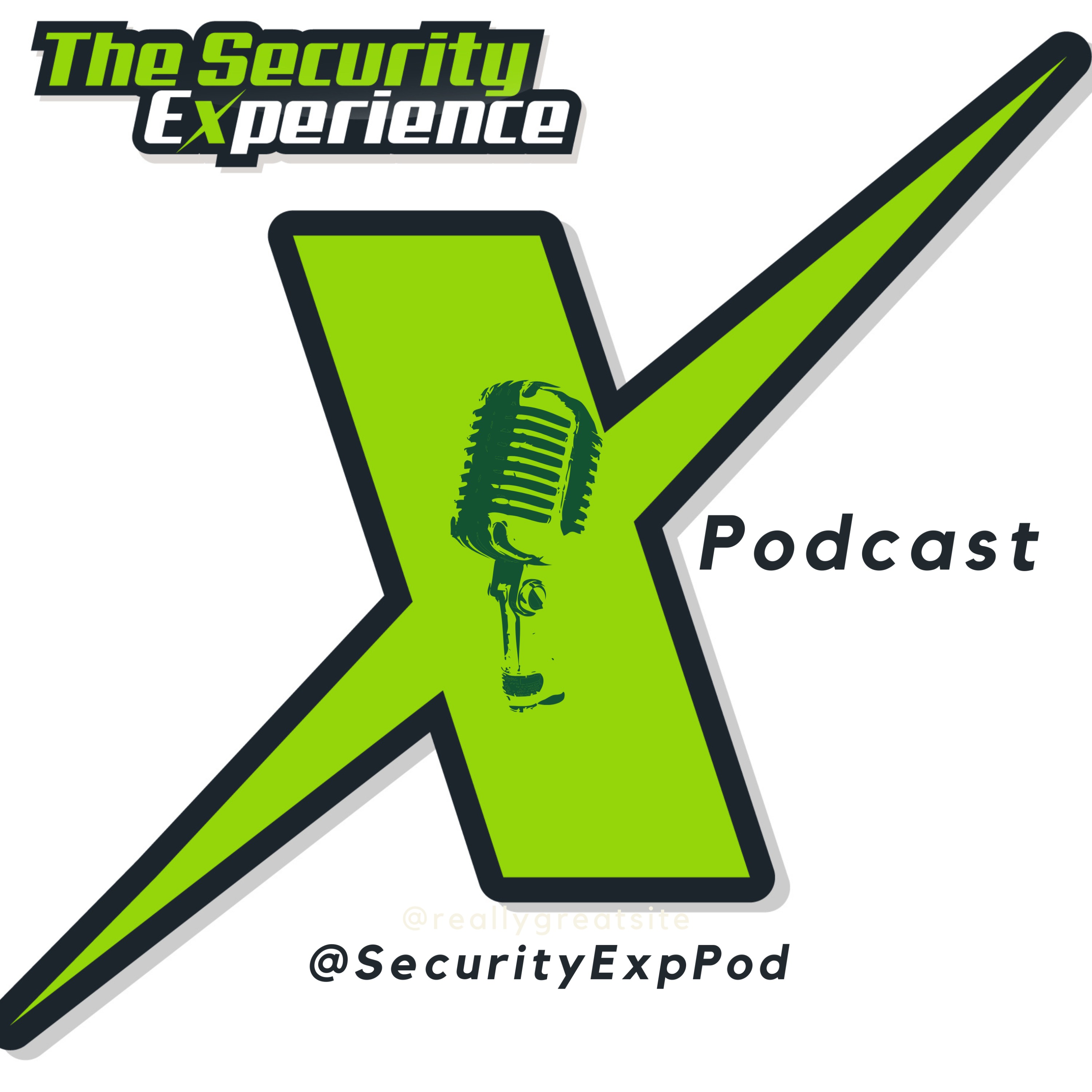 The Security Experience