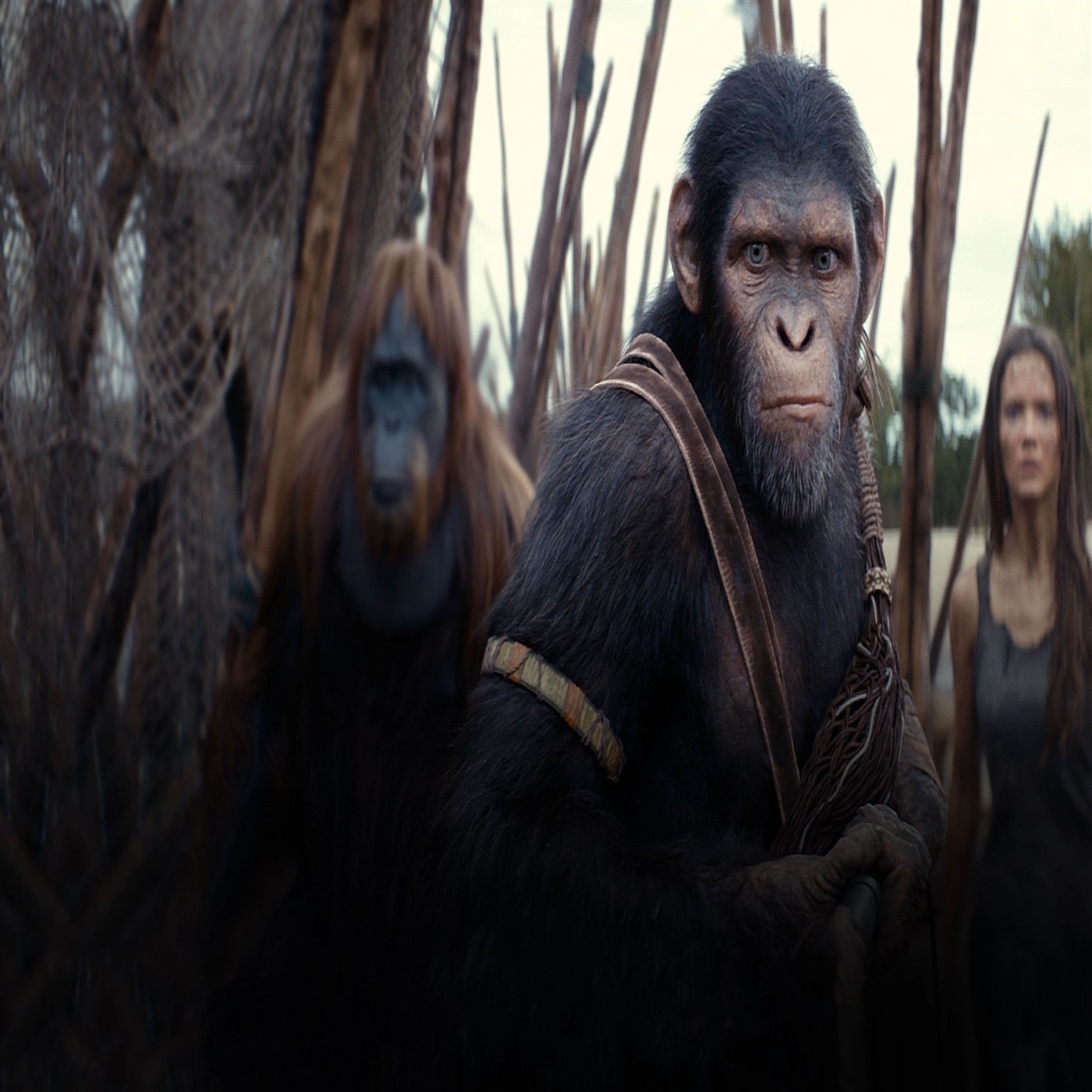 [VeR] El reino del planeta de los simios 2024: La Pelicula Pelicula ...
