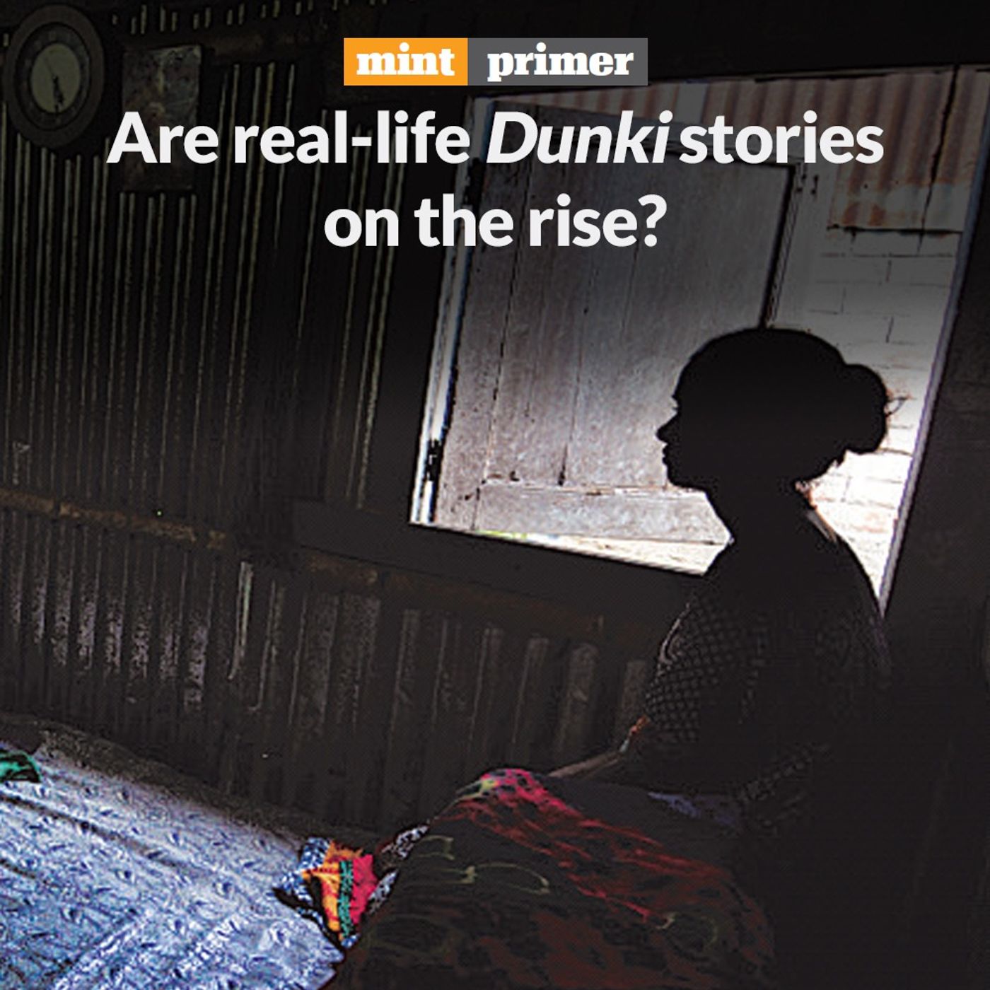 Are real-life Dunki stories on the rise? – Mint Primer – Podcast – Podtail