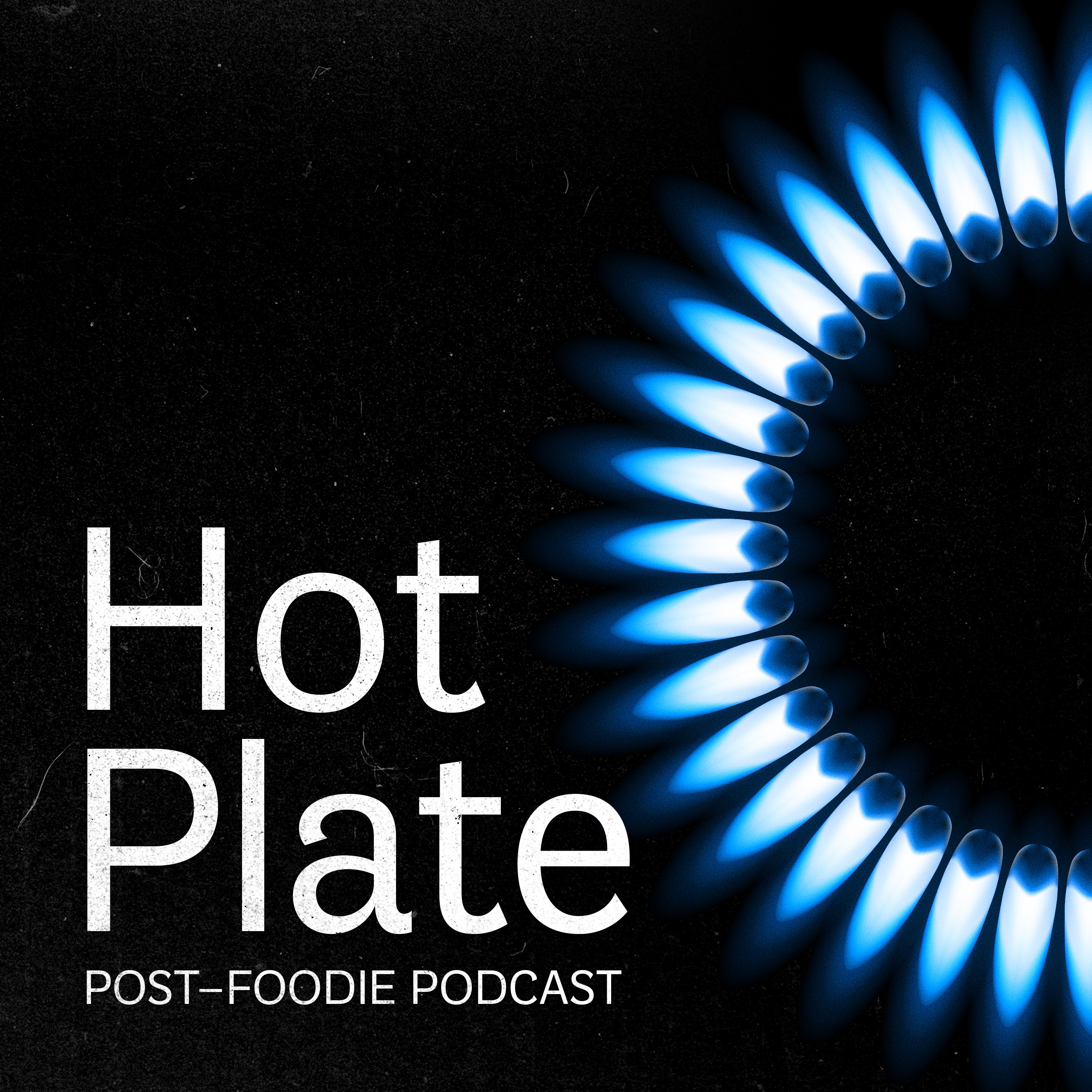Hot Plate Hot Plate