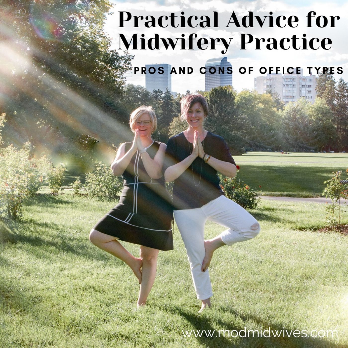 Practical Advice for Midwifery Practice: Pros and Cons of Office Types ...