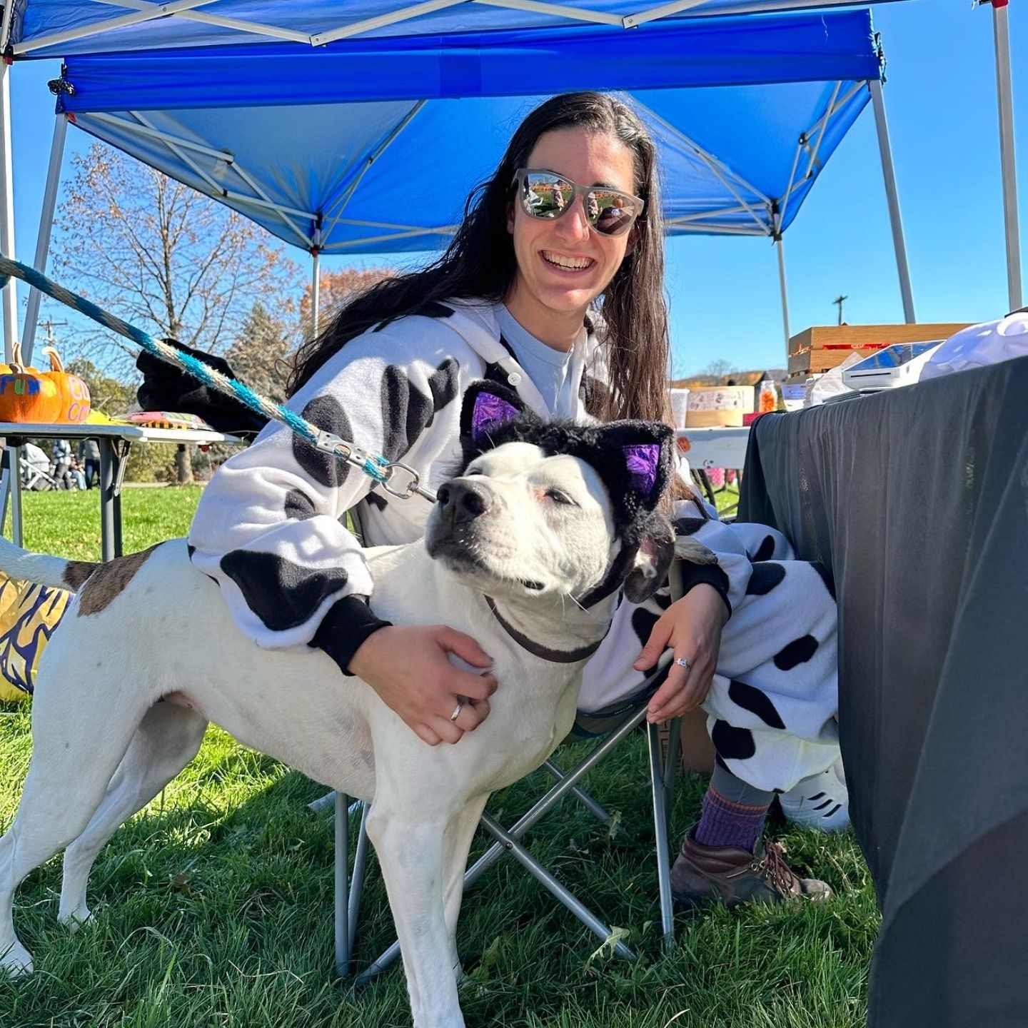 Interview With Amye Gulezian of High Lawn Farm, Jersey Cows and the ...