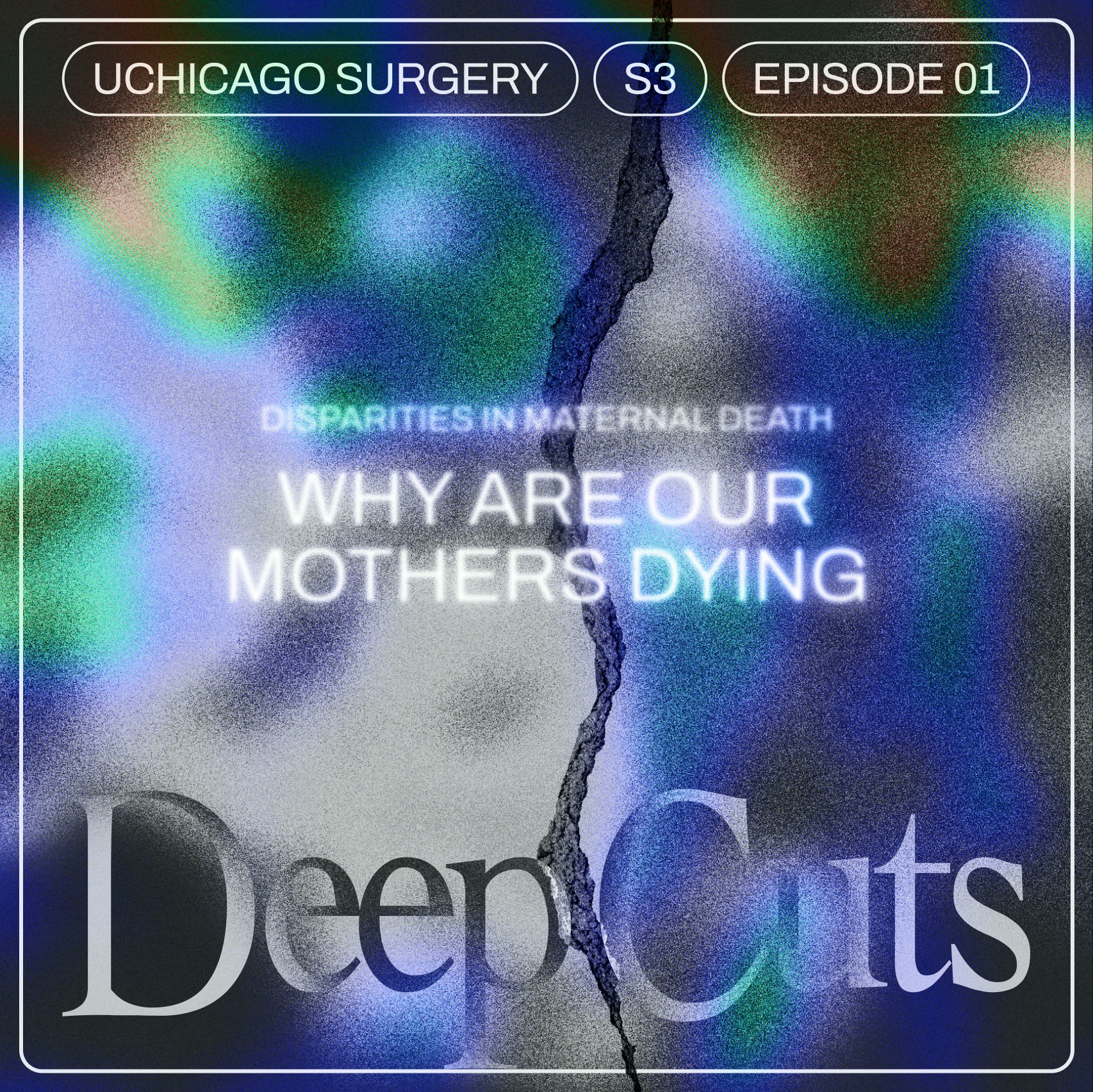 Deep Cuts: Exploring Equity in Surgery