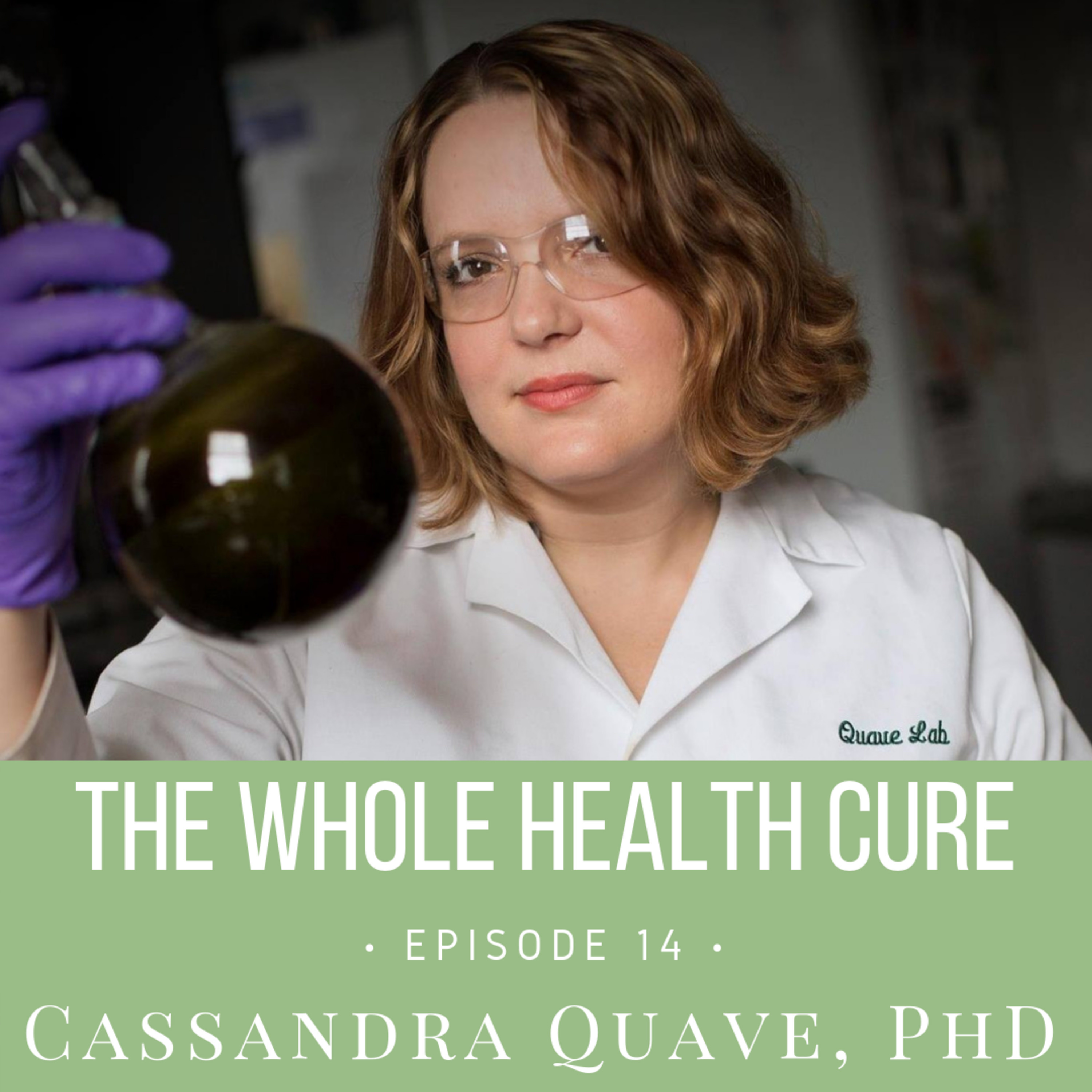 The Whole Health Cure