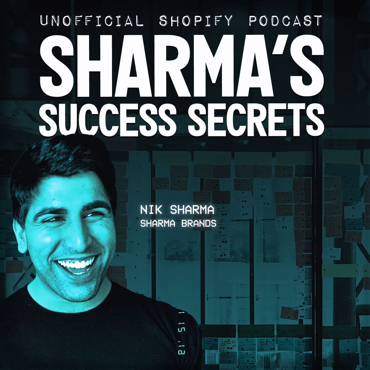 The Unofficial Shopify Podcast