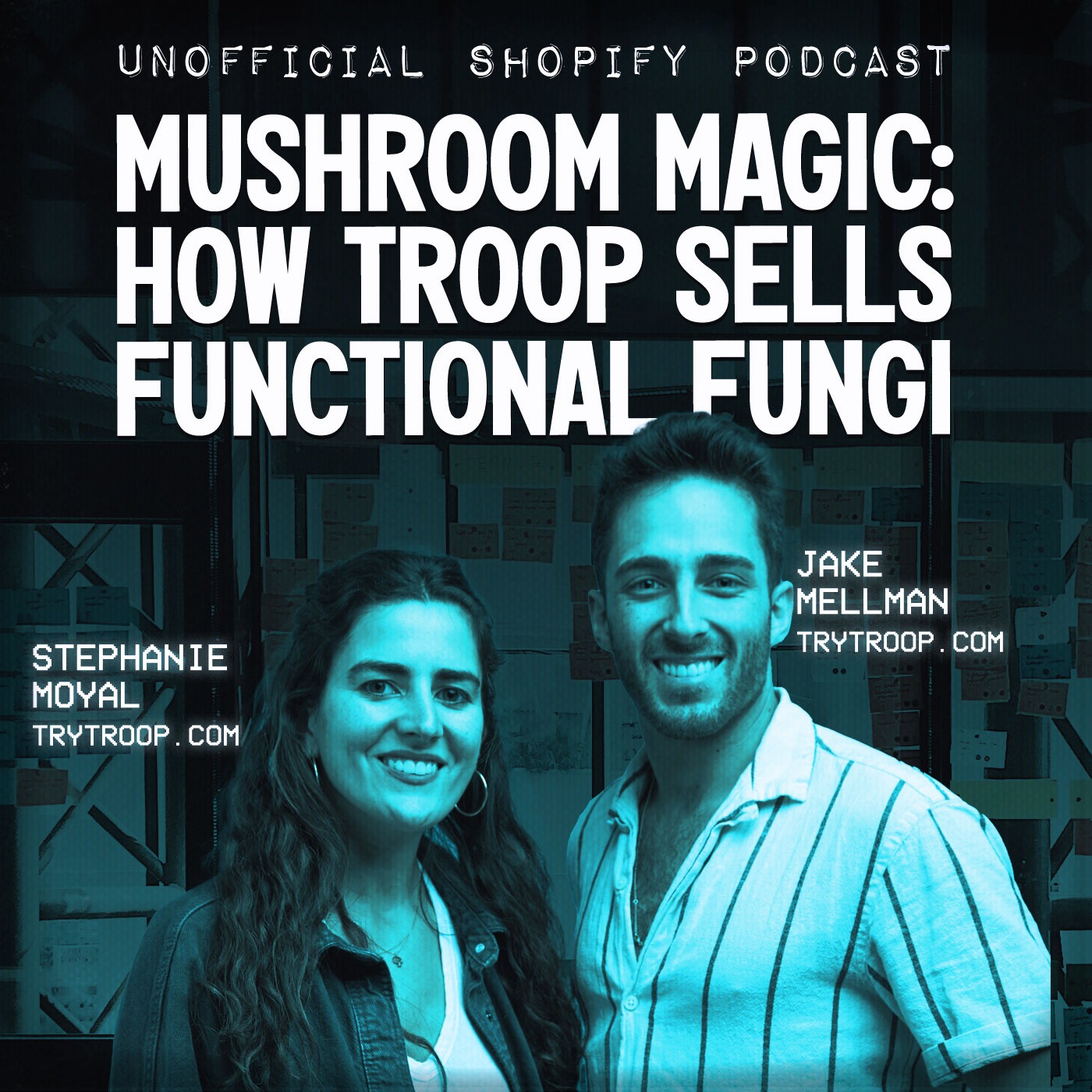 The Unofficial Shopify Podcast